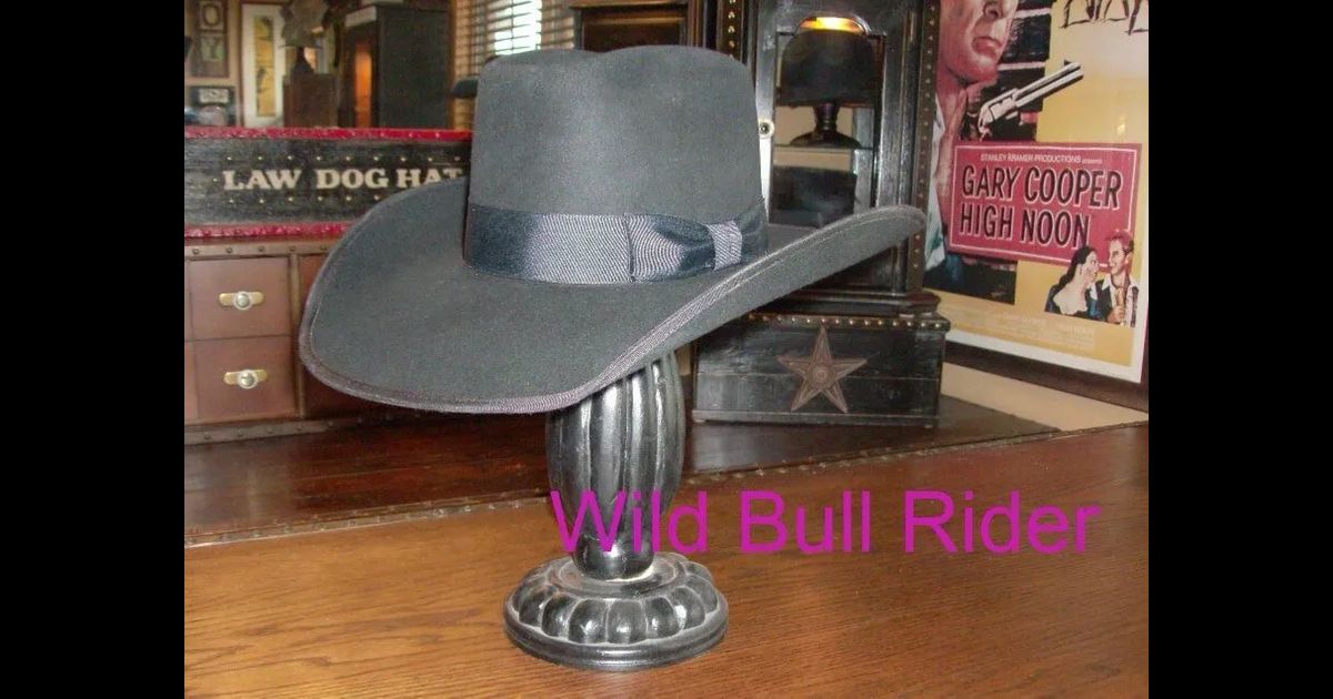 Wild Bull Rider